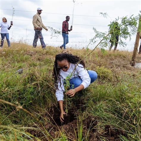 Grace Ngugi Posted On Linkedin