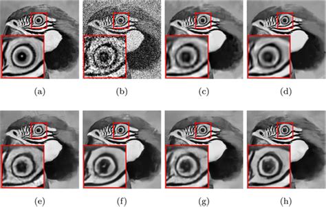 denoised images selected from the set12 dataset a clean image b