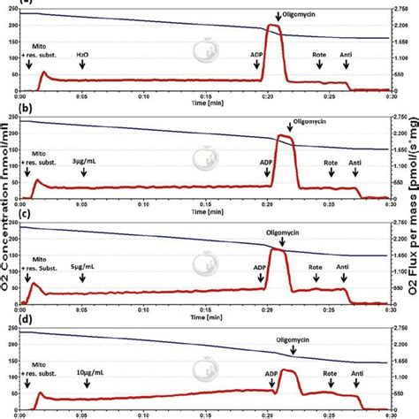 Figure S4 High Resolution Respirometry Showing Representative Traces Download Scientific