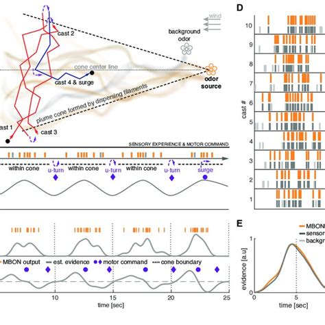 Spiking Network Model Of The Insect Olfactory System Olfactory Download Scientific Diagram
