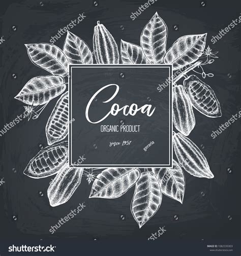 Vector Cocoa Tree Illustration Vintage Background Stock Vector Royalty Free