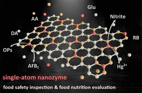 Perspectives For The Role Of Single Atom Nanozymes In Assisting Food