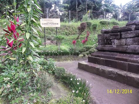 Blusukan Situs Dan Candi Candi Pendem
