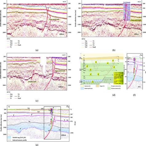 A C The Lower Part Of The Fnf Is Faulted To The Bedrock Reflection Download Scientific