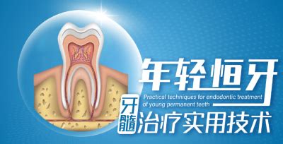 年轻恒牙牙髓治疗实用技术智慧树网