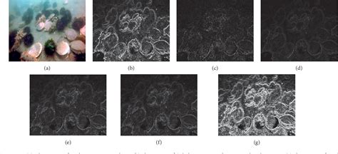 Figure 1 From A Marine Object Detection Algorithm Based On Ssd And