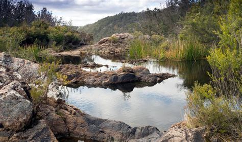 Rockpools View Walk Nsw National Parks