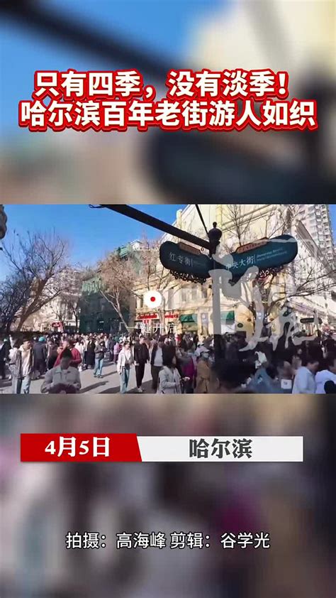 只有四季，没有淡季！哈尔滨百年老街游人如织 新晚报 哈尔滨