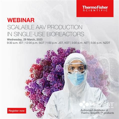 Learn More About Aav Production And Downstream Processing Workflow Medical Test Systems Inc