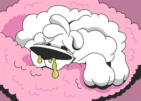 How Long Can A Dog Live With Canine Distemper