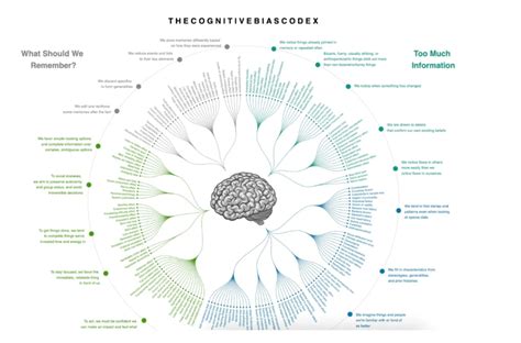 This Cognitive Bias Codex Categorizes And Defines Each Cognitive Bias Twistedsifter