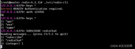 【linux】redis高可用概述2（redis 发布订阅、redis 事务、redis主从复制）redis 可以发布订阅对象数据吗 Csdn博客