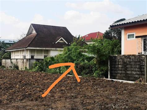 ขายที่ดิน60 ตรว ถนนเพชรหึงษ์ ตำบลบางยอ อำเภอพระประแดง จังหวัดสมุทรปราการ Ennxo