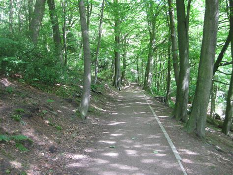 Theres A Hole In My Barcode And Other Common Pitfalls With Code 39