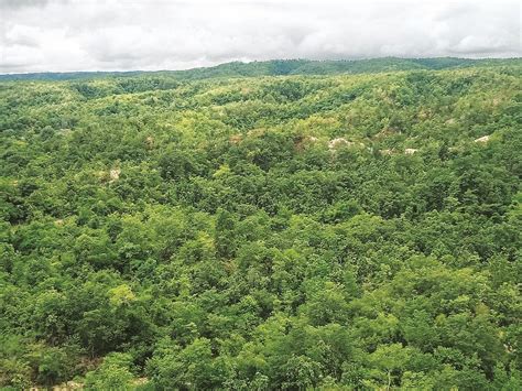 ကြိုးကြာအင်း ကြိုးပြင်ကာကွယ်တော သတ်မှတ် News And Periodical Enterprise