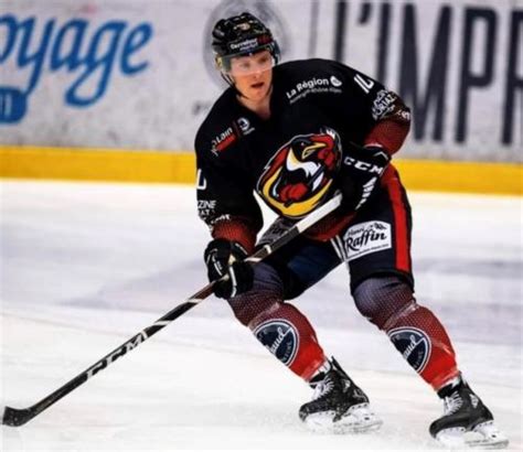 Mark Shroyer Stats Contract Salary And More