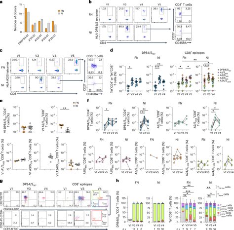 Higher Tetramer⁺cd8⁺ T Cells In The Ni Cohort Than In The Fn Cohort A Download Scientific
