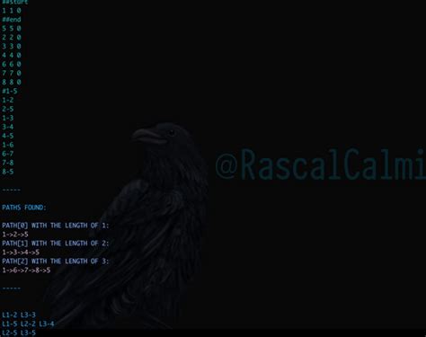Problemsolving Programmer Rascalcalmind