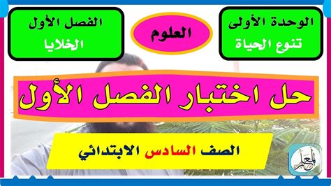حل كتاب العلوم الصف السادس الابتدائي حل اختبار الفصل الأول ف1 14441