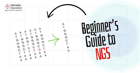 What Is Ngs Definition Principle Steps Chemistries Advantages And