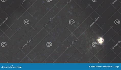 Luminol Stock Video Footage By Megapixl