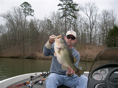 Largemouth Bass Spawning Temperature At Amelia Woodhouse Blog
