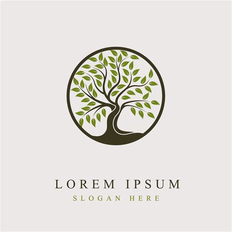 Tree Logo Design In Vivid Circle Tree Vector Tree Of Life Logo Design