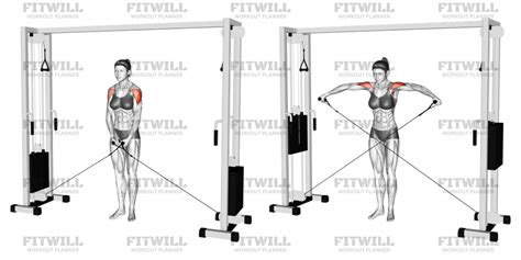 Cable Lateral Raise Exercise Guide Video Techniques Benefits How