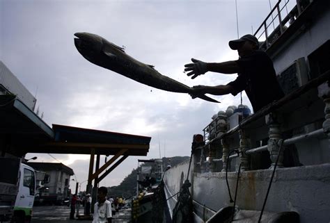 Modern Slavery Most Common In North Korea Eritrea Report Says Human