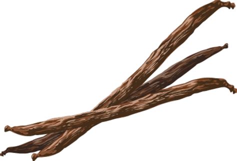 Vanilla Bean Png File Png Svg Clip Art For Web Download Clip Art Png Icon Arts