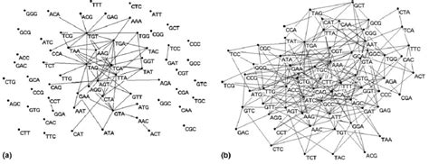 Sketch Of Triplet Sequence Networks Vertices Represent The 64 Triplets Download Scientific