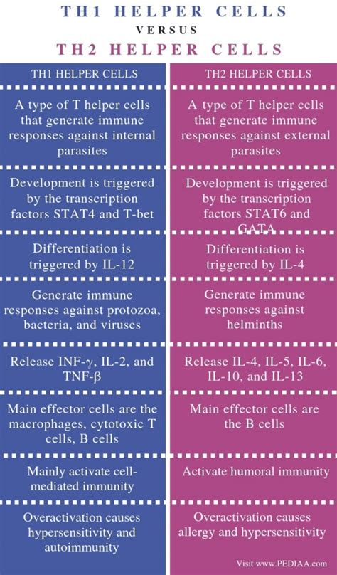What Is The Difference Between TH And TH Helper Cells Pediaa Com
