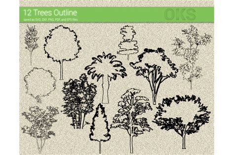 Trees Outline Svg Svg Files Vector Clipart Cricut Download By CrafterOks TheHungryJPEG