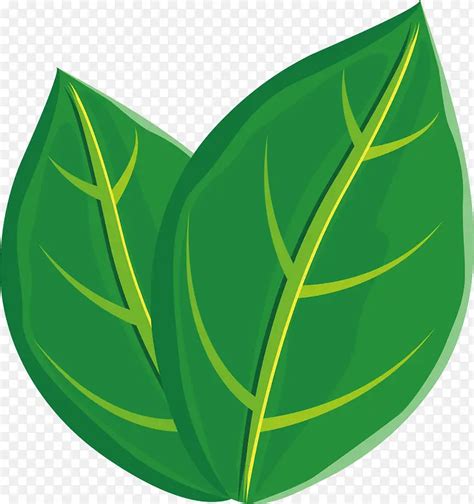 卡通树叶矢量图下载png图片素材下载图片编号ynpdbrby 免抠素材网