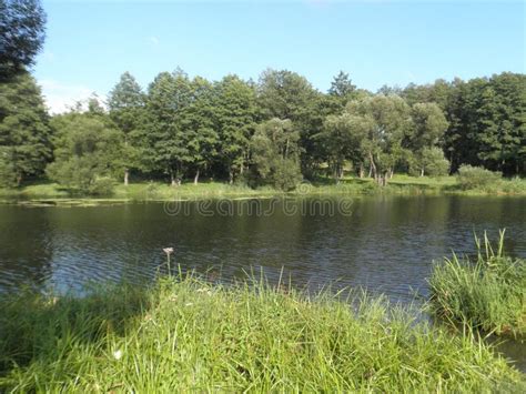Polesye стоковое фото изображение насчитывающей трава 109502168