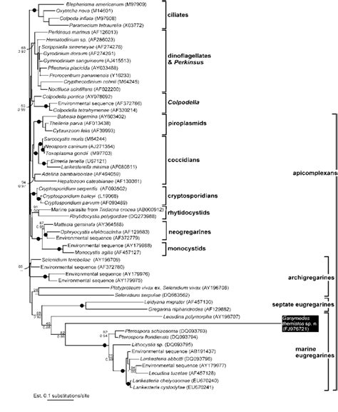 Gamma Corrected Maximum Likelihood Tree ¡ln L 16188 83549 0 438 Download Scientific