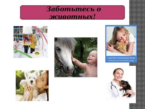 Домашние животные 1 класс презентация доклад проект скачать