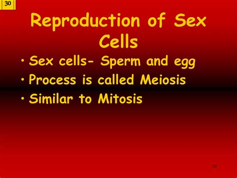 Life Cycle Of A Cell Ppt Download