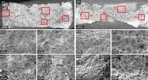 Sem Images Showing Fracture Surfaces Of A The Hydrogen Charged And B