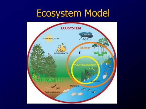 Ppt Ecosystem Model Powerpoint Presentation Free Download Id 2578627