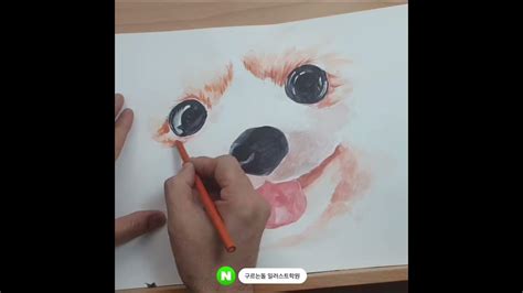 강아지 수채화 색연필 그림 Youtube