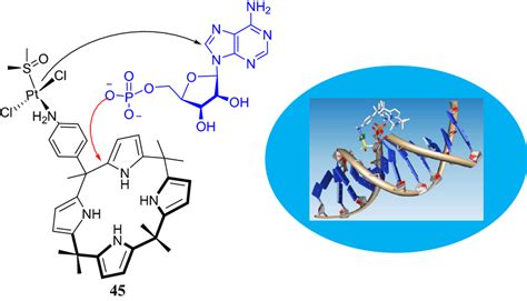 Schematic And Molecular Docking Representation Of Anti Cancer Drug Download Scientific Diagram