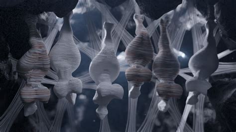 Rule 34 169 3d Artwork Anthro Arthropod Webbing Ass Big Breasts