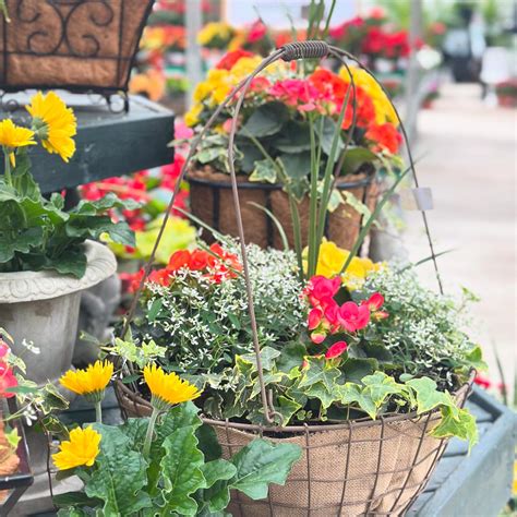 Scheiderer Farms Added A New Photo — At Scheiderer Farms