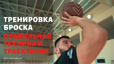Тренировка Броска в баскетболе Правильная Техника и траектория броска для начинающих Youtube