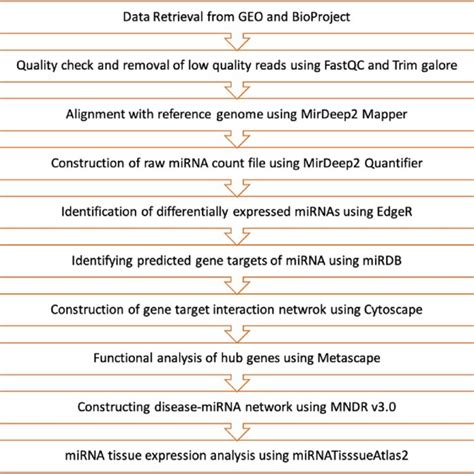 Flowchart Illustrating The Complete Designed Novel Pipeline Download