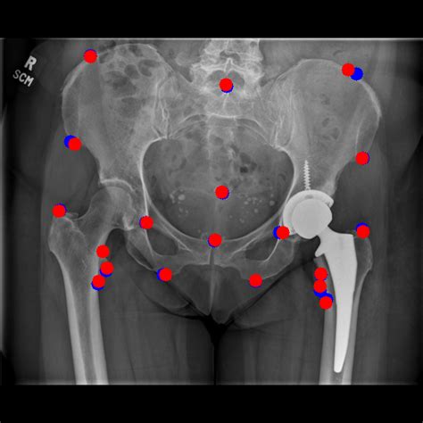 Github Vine Lab Vu Label Augmentation