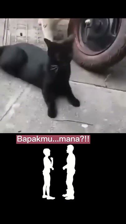 Yank Siang Siang Jangan Gitu Ach Malu Komedi Viraltiktok Fyp