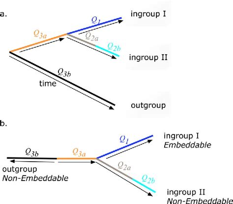 Figure 1 From The Embedding Problem For Markov Models Of Nucleotide