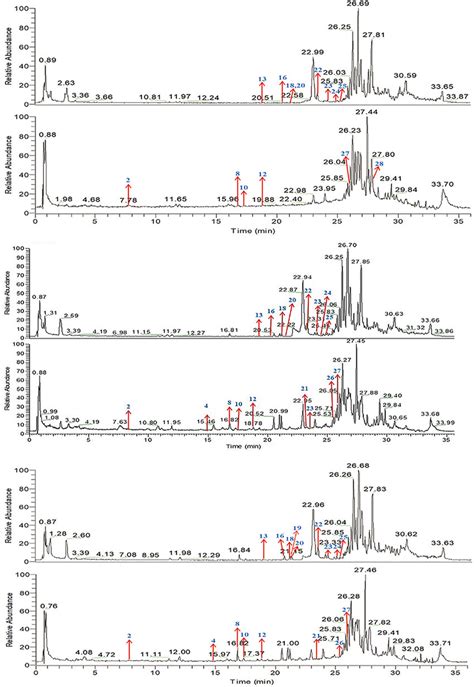 Total Ion Chromatogram Tic In Positive Ion Mode And Negative Ion Mode